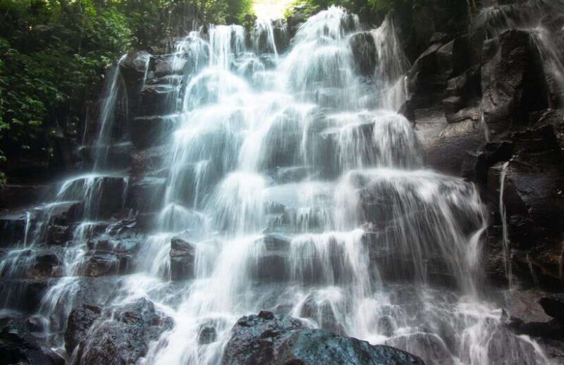 Bali: Quad Bike Adventure with Ubud Monkey Forest Tour - Who Will Love This Tour?