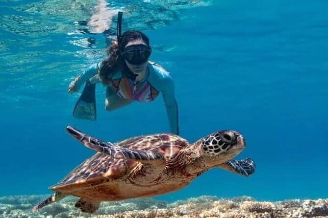 Bali Rafting Adventure and Nature - FAQ