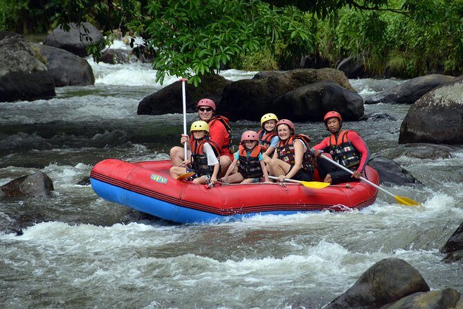 Bali Rafting and Private Combination Ubud Tour Packages - An Overview of the Experience