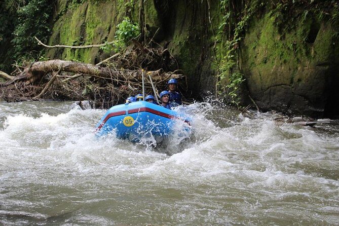 Bali Rafting at Ayung River Ubud - (Private & All-Inclusive) - Who Should Consider This Tour?