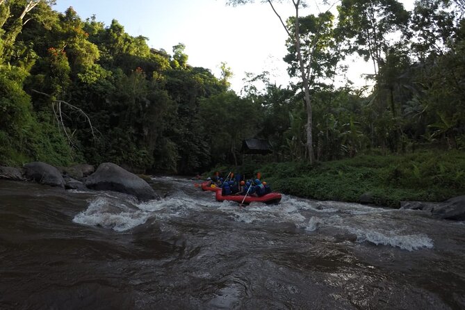 Bali Rafting - FAQ