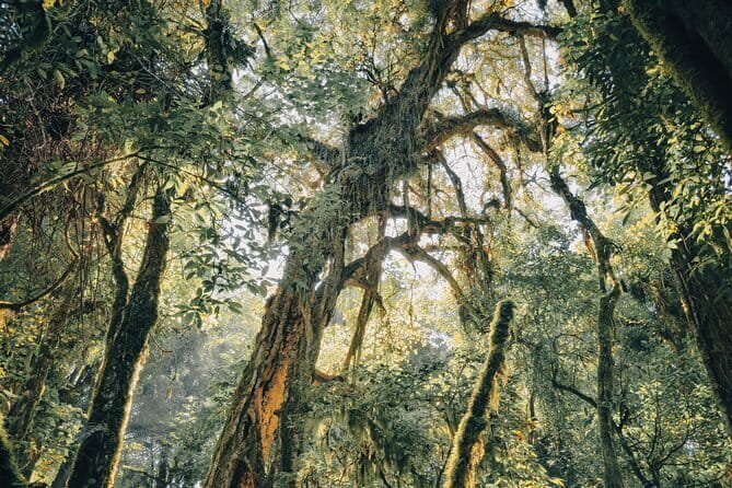 Bali Rainforest Hiking With Canoeing And Waterfall Adventure - The Sum Up: Who Should Consider This Tour?