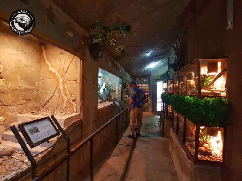 Bali Reptile Park 1-Day Admission Ticket - The Sum Up