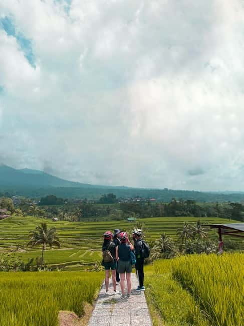 Bali: Rice Terrace UNESCO heritage cycling experience - Key Points