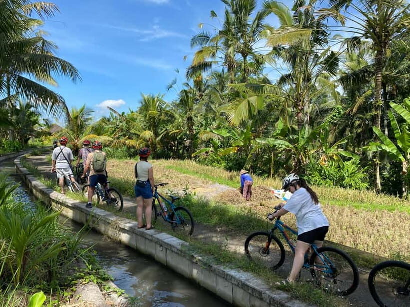 Bali: Rice Terrace UNESCO heritage cycling experience - An Introduction to the Bali Rice Terrace Cycling Tour