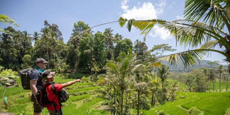 Bali: Rice Terraces Guided Hiking Experience - Key Points