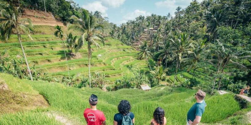 Bali: Rice Terraces Guided Hiking Experience - Authenticity and Local Flavor