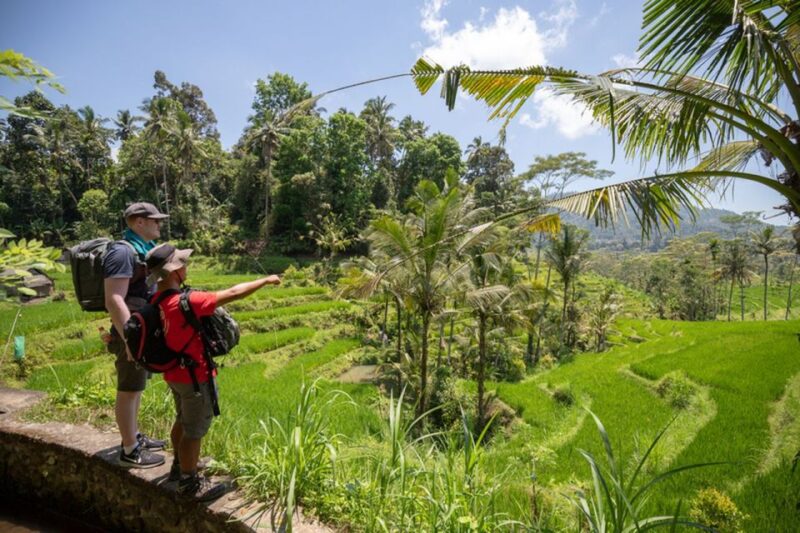 Bali: Rice Terraces Guided Hiking Experience - Who Will Love This Tour?