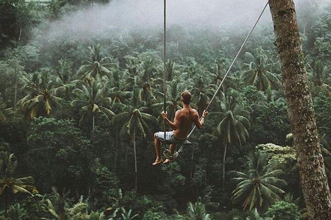 Bali romantic floating breakfast - jungle swing - monkey forest - Ubud art shop. - Deep Dive into the Itinerary: What to Expect