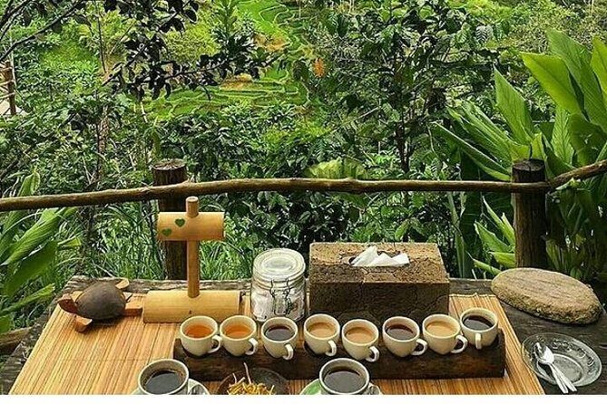 Bali romantic floating breakfast - jungle swing - monkey forest - Ubud art shop. - FAQ: Practical Questions about the Tour