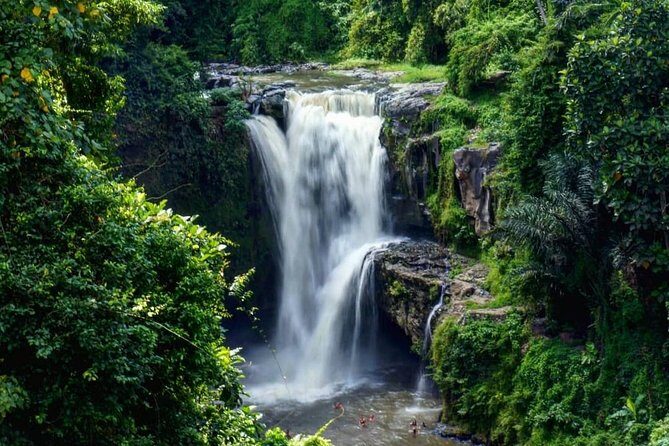 Bali Romantic: Ubud and Tanah Lot Tour - The Value of the Tour