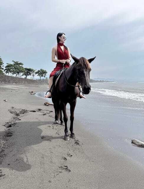 Bali: Saba Beach Horse Riding Experience - Who Should Consider This Experience?