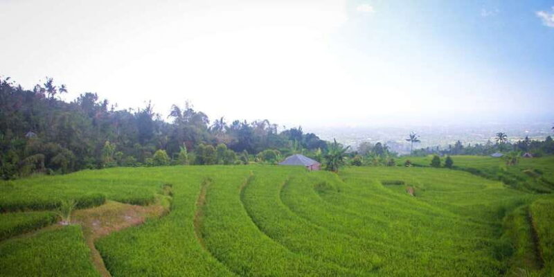 Bali: Sambangan Waterfalls Trekking, Sliding, & Jumping Trip - Key Points