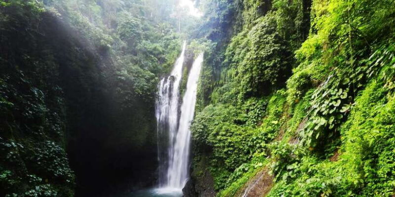 Bali: Sambangan Waterfalls Trekking, Sliding, & Jumping Trip - Price & Value