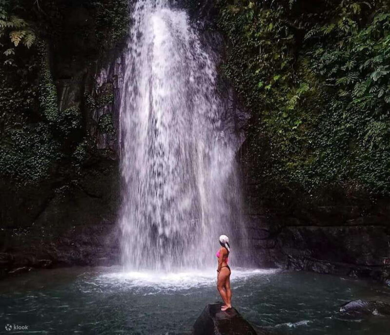 BALI :Sanctuary Monkey forest, rice terrace Water temple - Key Points