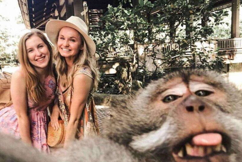 BALI :Sanctuary Monkey forest, rice terrace Water temple - Deep Dive into Each Stop