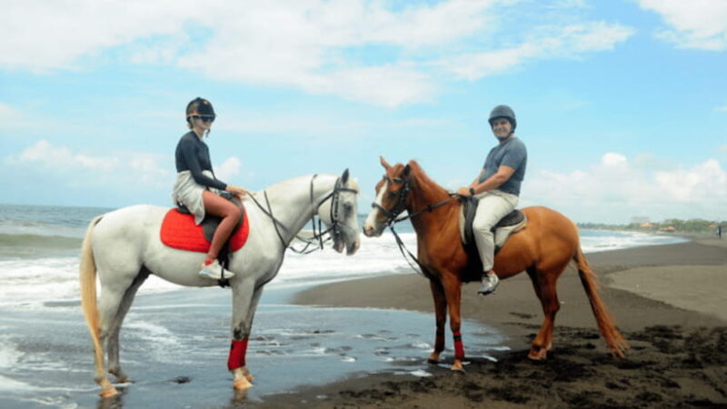 Bali: Sanur Horse Riding for Beginner Experience - Key Points