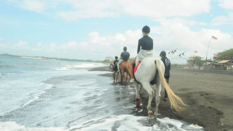 Bali: Sanur Horse Riding for Beginner Experience - What to Expect During Your Ride