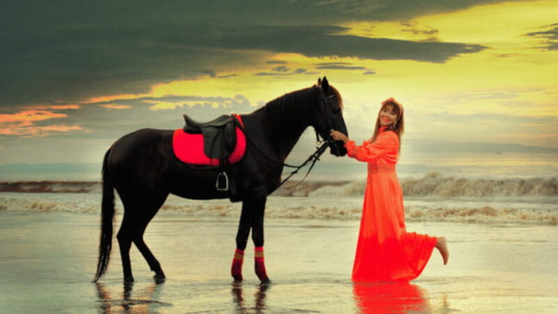 Bali: Sanur Horse Riding for Beginner Experience - Value and Practical Considerations