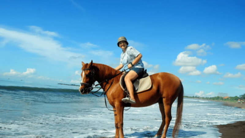 Bali: Sanur Horse Riding for Beginner Experience - Authentic Reviews and Real Experiences