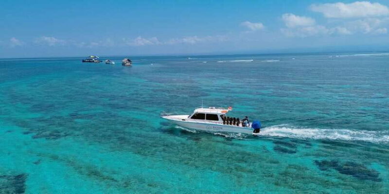 Bali Sanur: Scuba Diving day trip to Nusa Penida 3 dives - The Dive Sites and Marine Encounters