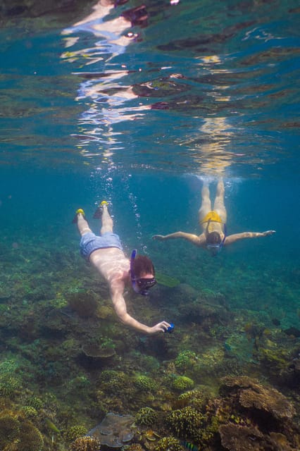 Bali Sanur: Snorkeling day trip to Nusa Penida 3 sites - Who This Tour Is Best For