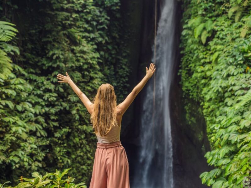 Bali: Scenic West Bali Private Tour, Luxury Car - The Sum Up