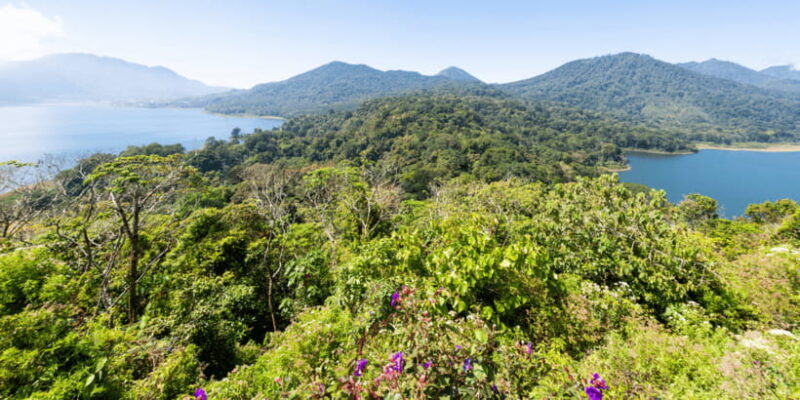 Bali: Scenic West Bali Private Tour, Luxury Car - FAQ