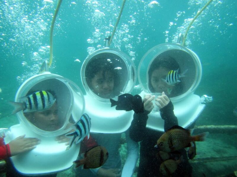 Bali: Sea Walker Under Water Experience - The Price and Its Value
