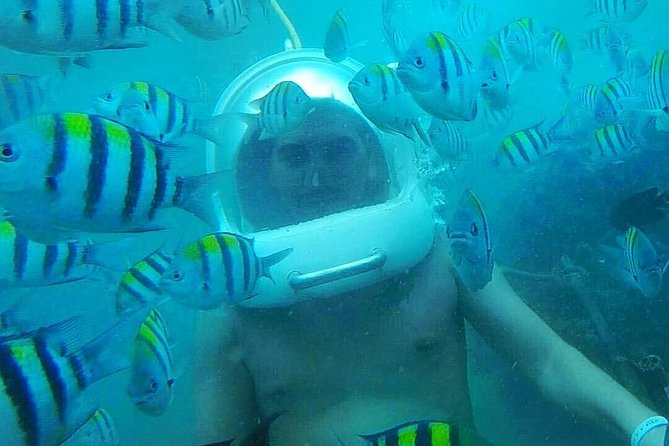 Bali Sea Walking Experience - Authentic Experiences and Honest Feedback