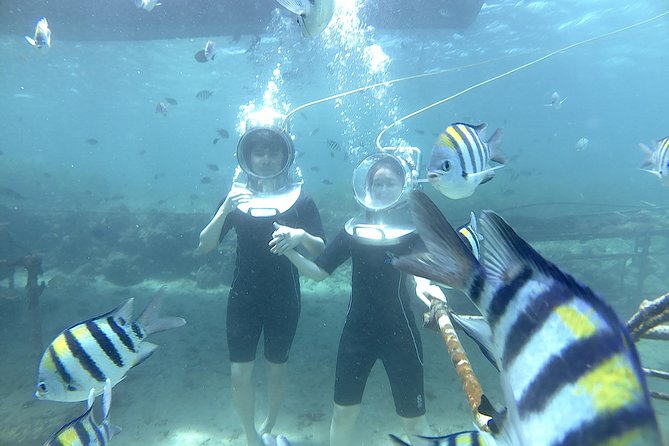 Bali Seawalker - How the Tour Is Structured