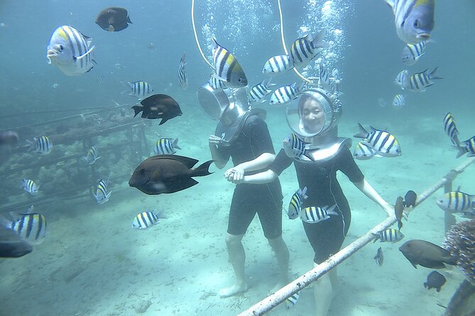 Bali Seawalker - What Makes This Experience Stand Out?