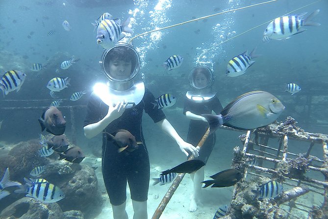 Bali Seawalker - What About the Equipment and Comfort?