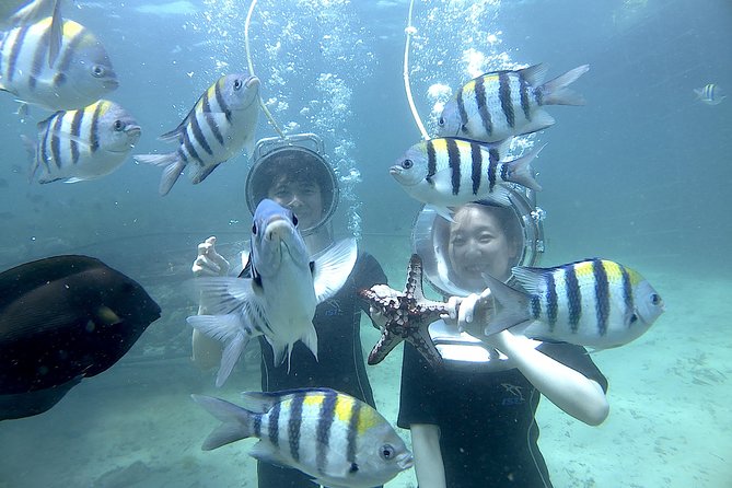 Bali Seawalker - Duration and Timing