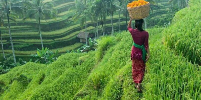 Bali: Secret and Untouristic Tour North West Bali. - An In-Depth Look at the Itinerary and Its Highlights