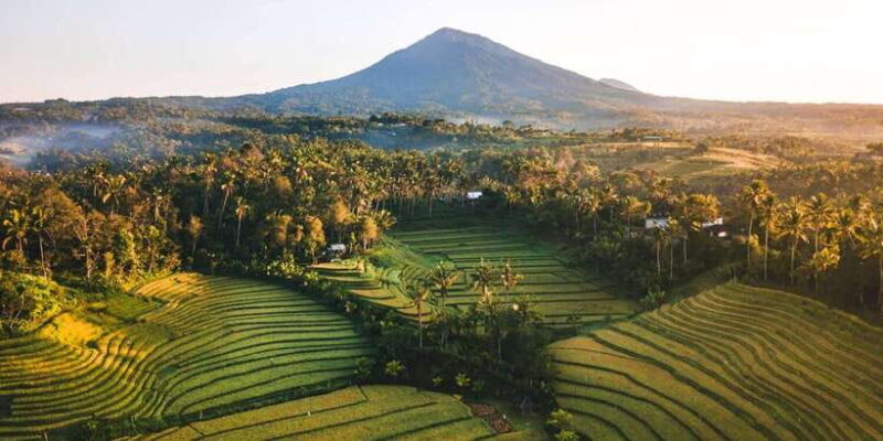 Bali: Secret and Untouristic Tour North West Bali. - Transportation, Timing, and Practicalities