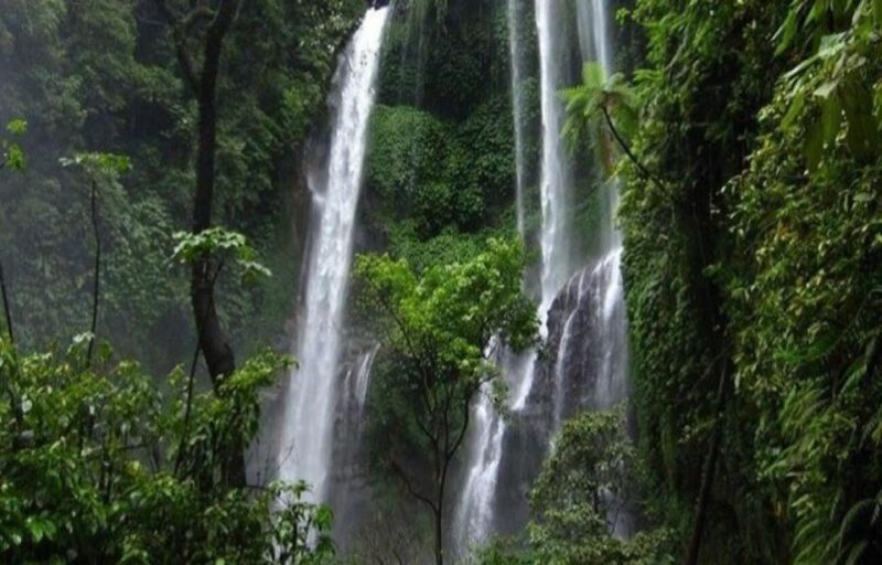 Bali: Secret and Untouristic Tour North West Bali. - FAQ