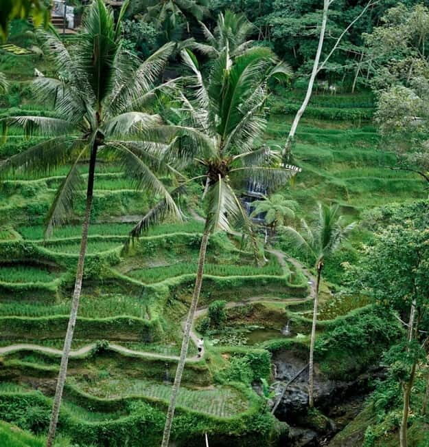 Bali Secret Purification Ceremony Private day tour - Final Thoughts