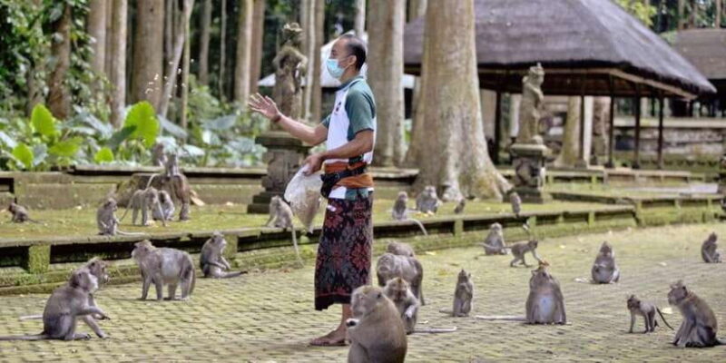 Bali Secret Waterfalls with Ulun Danu Beratan Temple Tour - The Itinerary in Detail