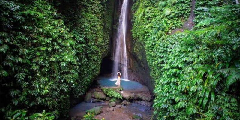 Bali Secret Waterfalls with Ulun Danu Beratan Temple Tour - Who Should Book This Tour?