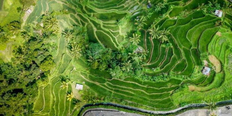 Bali Secret Waterfalls with Ulun Danu Beratan Temple Tour - FAQ