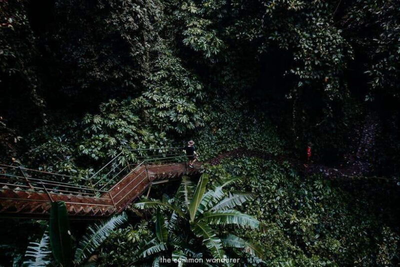 Bali: Sekumpul and Aling Aling Waterfall Tour with Lunch - Key Points