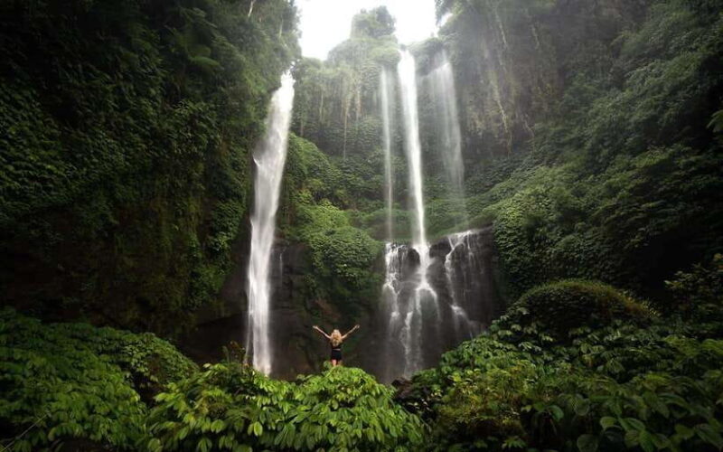 Bali: Sekumpul and Aling Aling Waterfall Tour with Lunch - The Value of This Experience