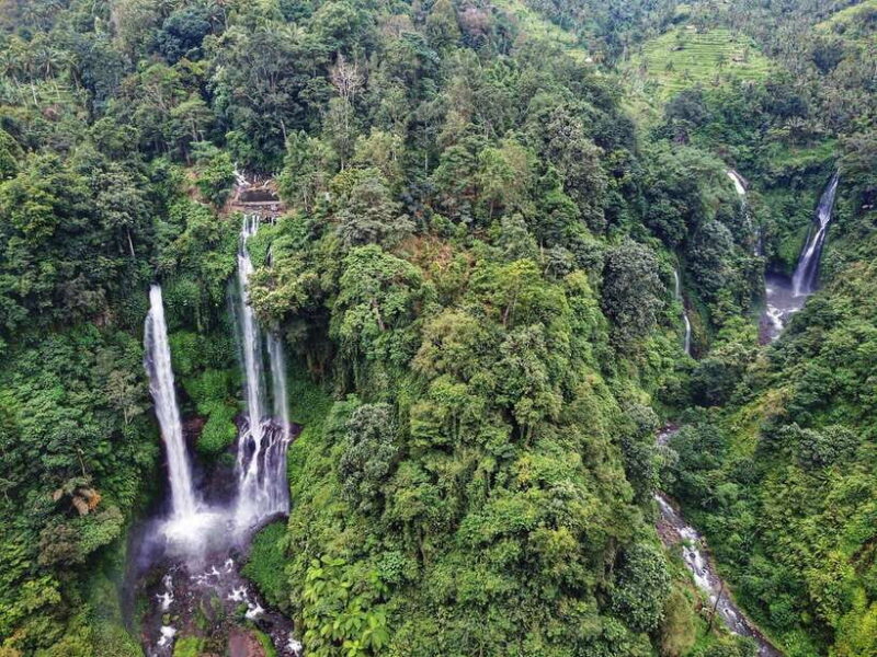 Bali: Sekumpul and Banyumala Waterfall Guided Trek - The Experience in Detail: What to Expect