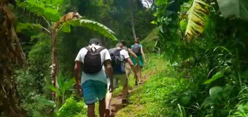 Bali: Sekumpul Waterfall and Fiji Waterfall Private Tour - Key Points