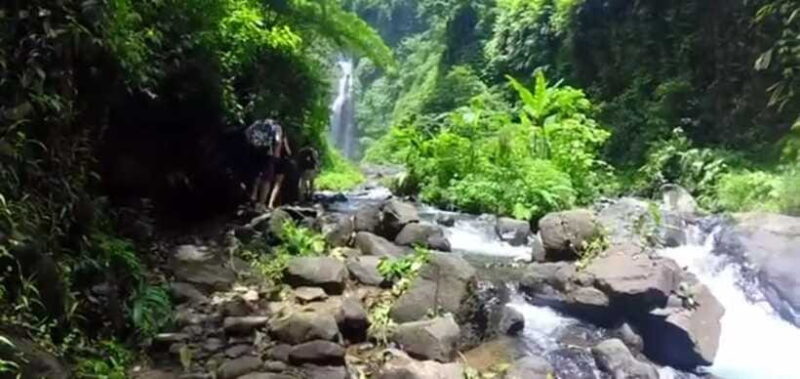 Bali: Sekumpul Waterfall and Fiji Waterfall Private Tour - Morning: From Hotels to Waterfalls