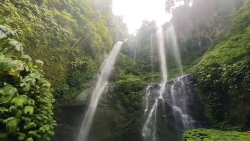 Bali: Sekumpul Waterfall and Fiji Waterfall Private Tour - Lunch with a View