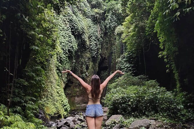 Bali Sekumpul with Fiji Waterfall & Bedugul Temple (Private Tour) - Who Would Love This Tour?