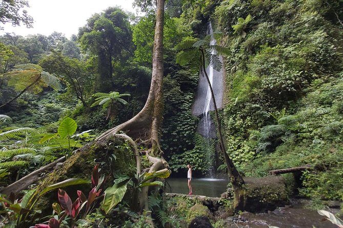 Bali Seven Wonder Waterfalls Trekking - The Sum Up