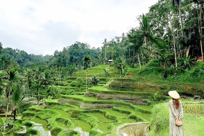 Bali Shore Excursions : Best of Bali Tour - Analyzing the Value: Is It Worth It?